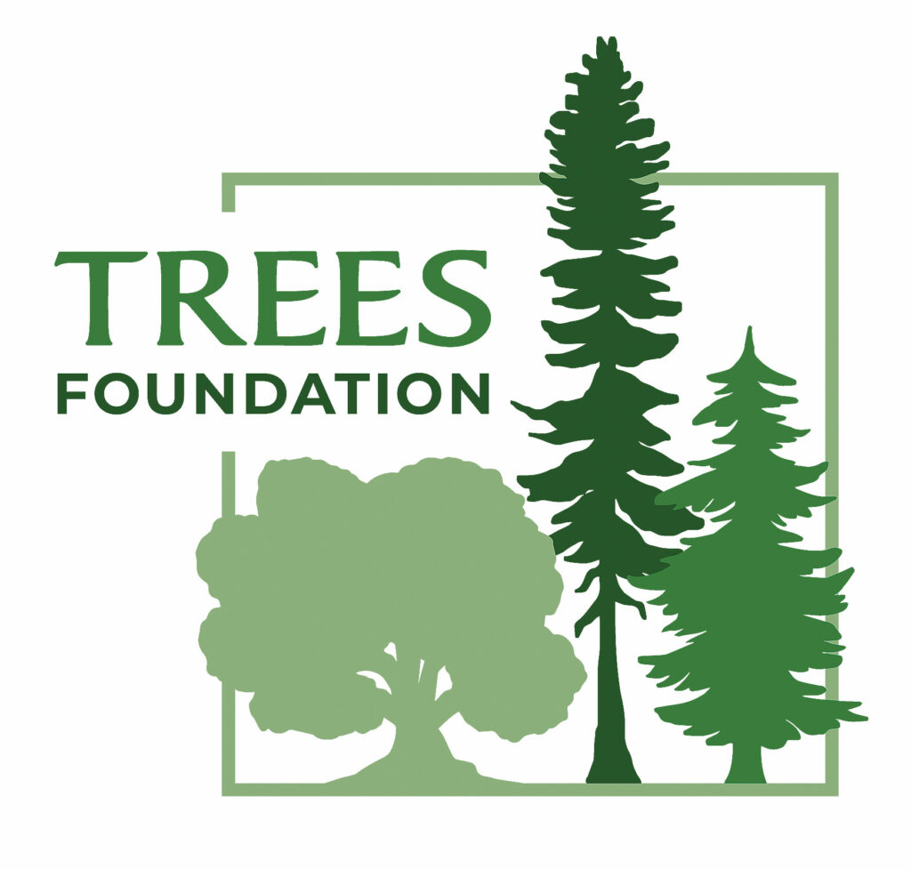 Redwoods and Climate Change